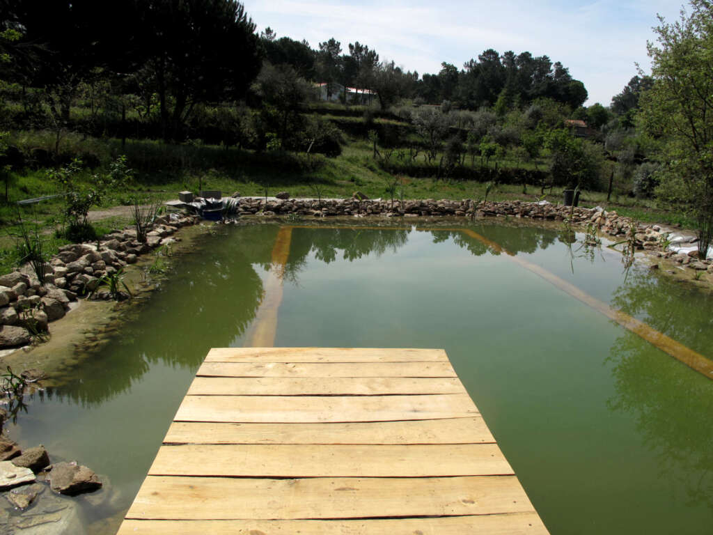 DIY Natural Swimming Pool in Portugal • Quinta Kania
