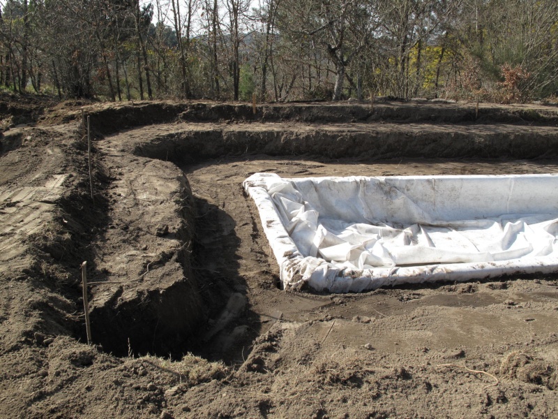 DIY Natural Swimming Pool in Portugal • Quinta Kania
